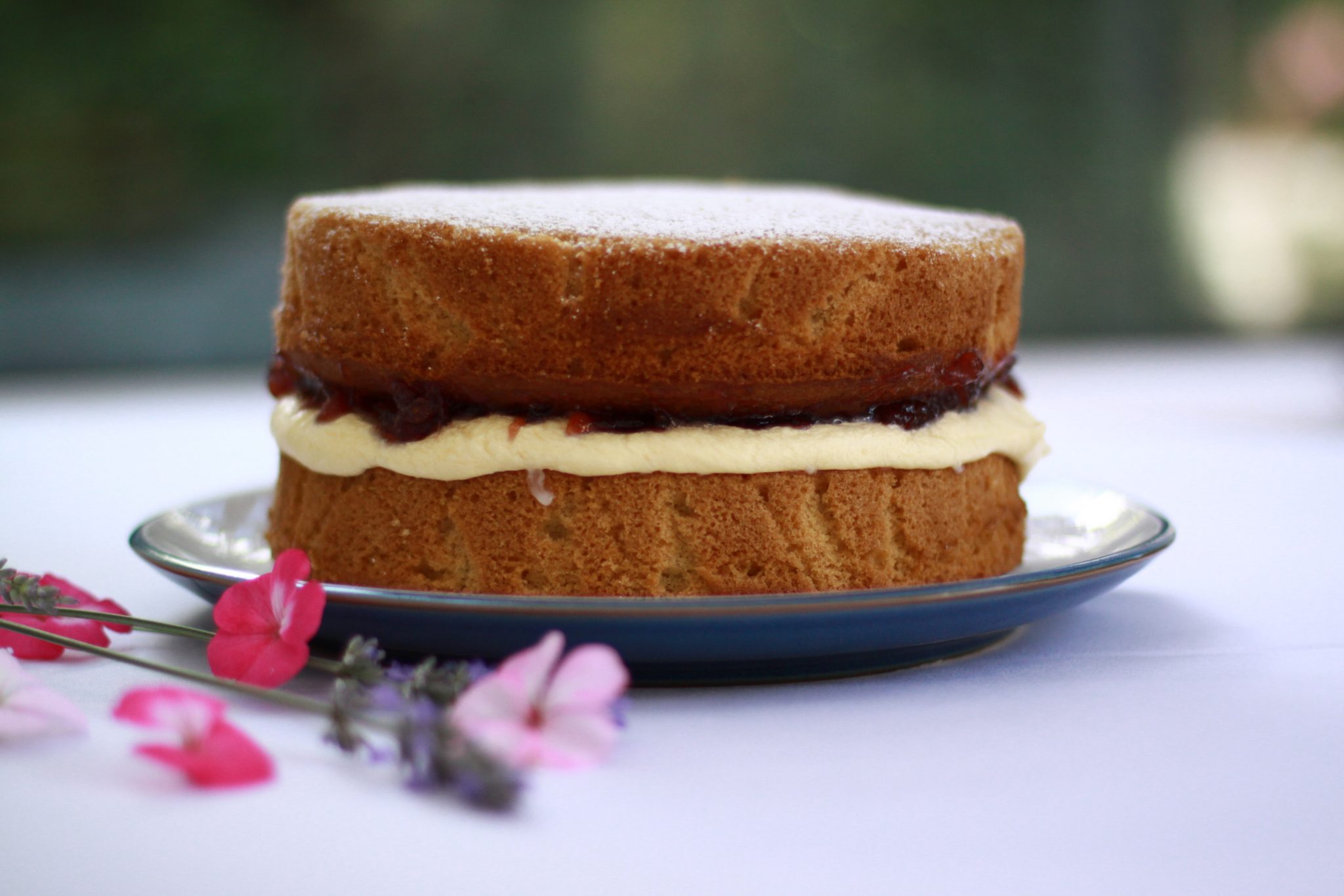 Gallery – Knowle House